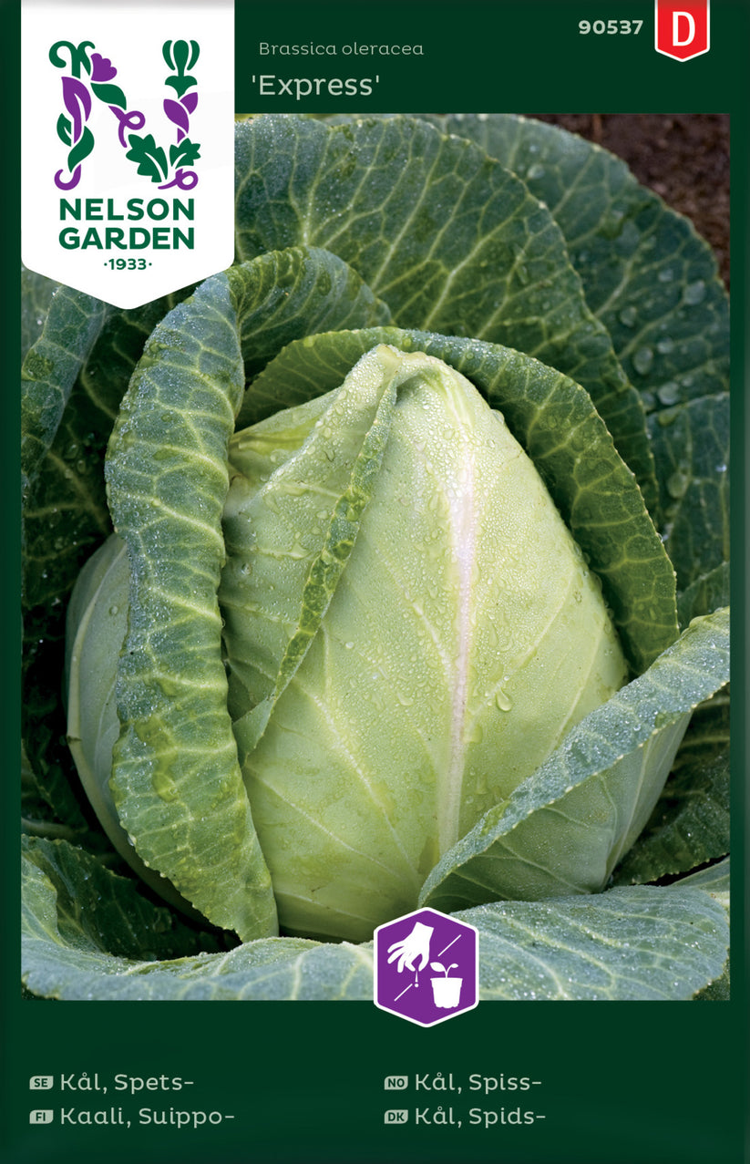 Cabbage 'Express' – Grow Towers