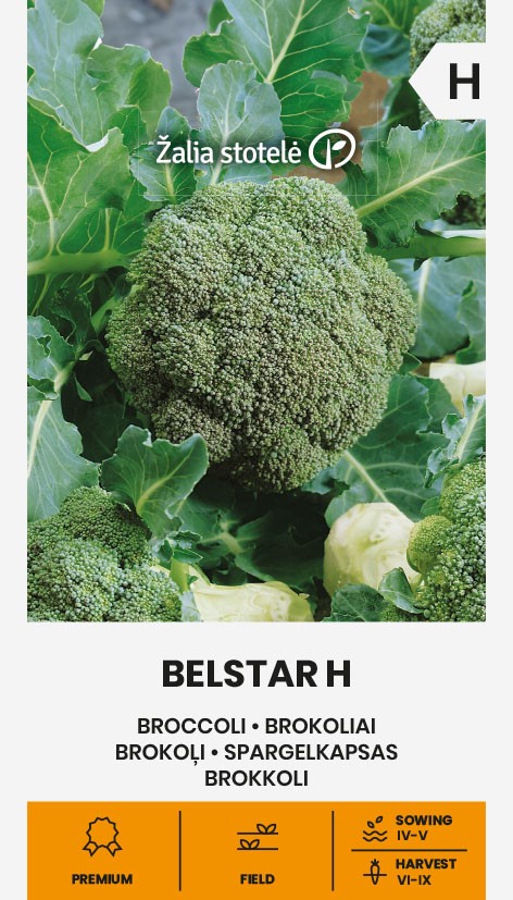 Broccoli 'Belstar' F1 – Grow Towers