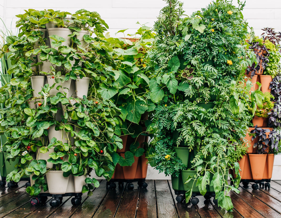 GrowTowers for vertical and small space growing in europe – Grow Towers